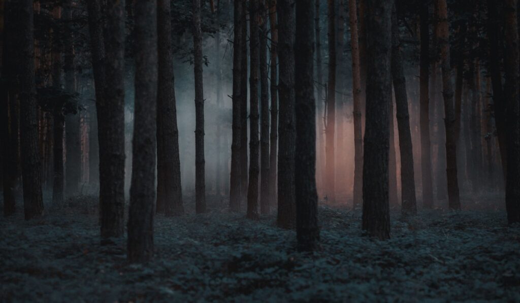 Cannibals Feared to Live In US National Park Where Five People Have ...