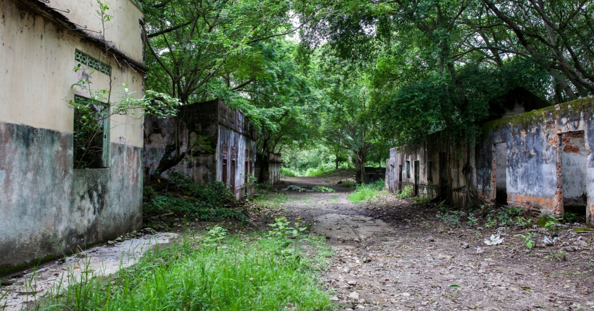 Tragic Story of Omayra Sánchez: The 13-Year-Old Girl Who Was Trapped in ...