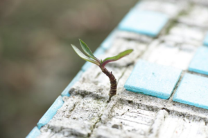 Death Doesn’t Exist And May Just Be An Illusion, According To Quantum ...