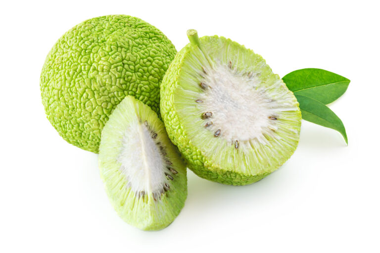 What Are Hedge Apples?