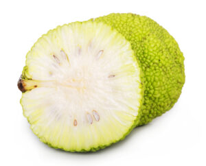 What Are Hedge Apples?