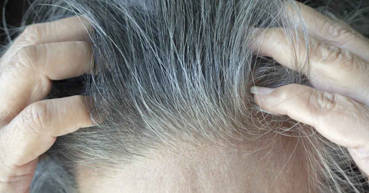 How to Revive Thing, Gray, and Out of Control Hair