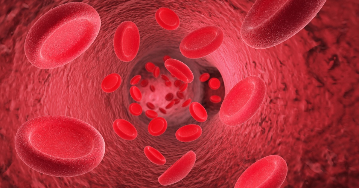 Which Blood Type is The Rarest? Here Are The Least to Most Common Blood ...