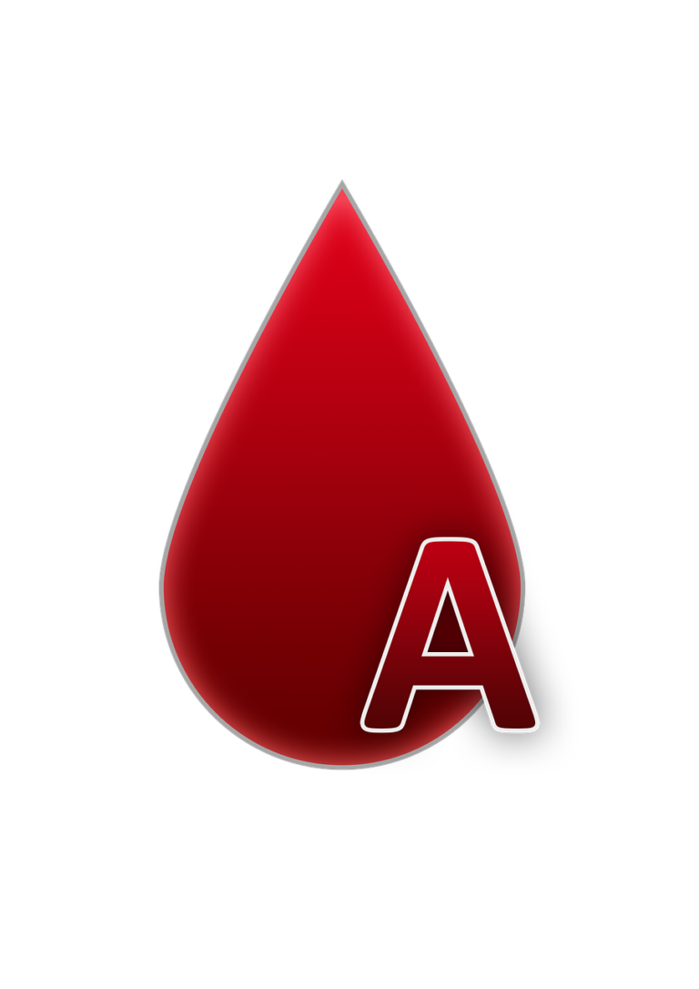 Which Blood Type is The Rarest? Here Are The Least to Most Common Blood ...