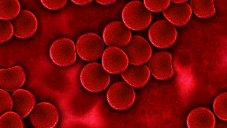 Which Blood Type is The Rarest? Here Are The Least to Most Common Blood ...