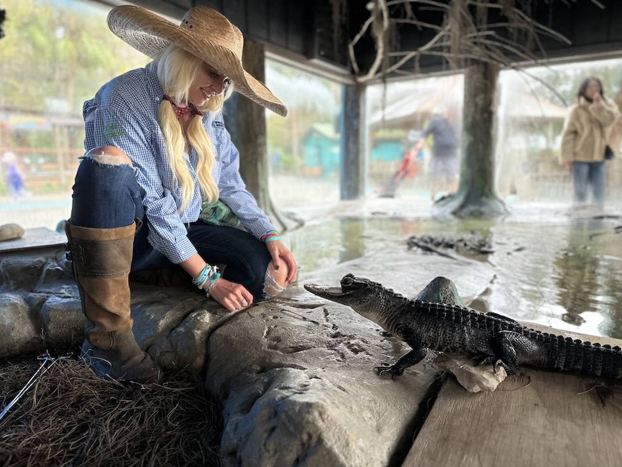 Alligator Spotted With Missing Top Jaw Has People Confused