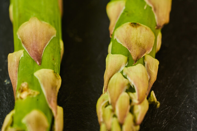 8 Of The Best Diuretic Foods for Your Health