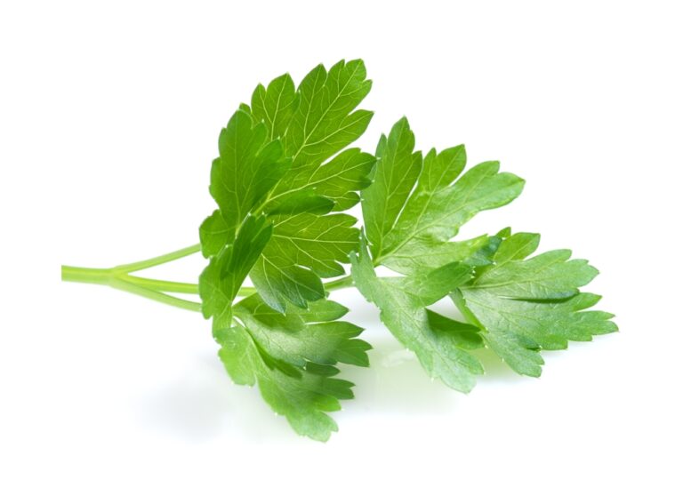 8 Of The Best Diuretic Foods for Your Health