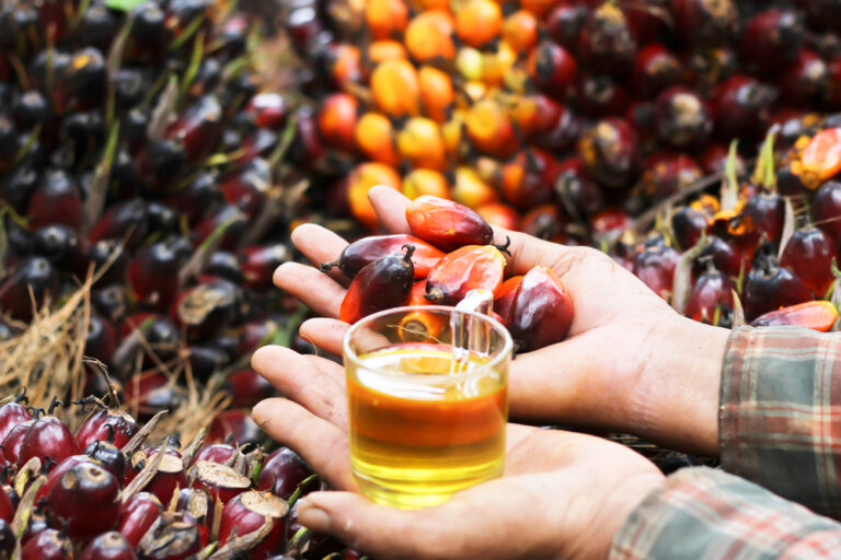 10 of The Healthiest and Worst Oils For Your Health