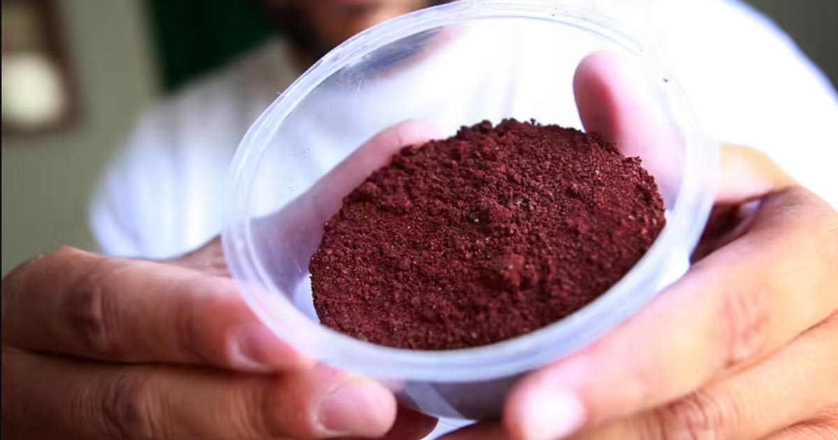 13 Foods That Could Contain Cochineal Bug Extract For Its Color