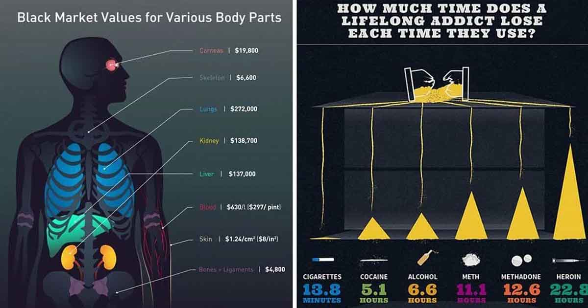 Organ Trafficking: How Much Are Your Insides Worth On The Black Market?