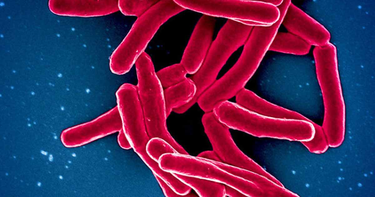 7 of the World’s Oldest Diseases