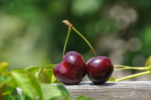 13 Health Benefits of Cherries (Sleep, Heart Health, and More)