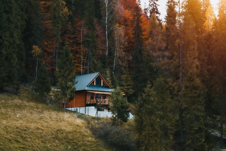 Family of 7 Living Completely Off-Grid in Northern Canada! : The Hearty ...