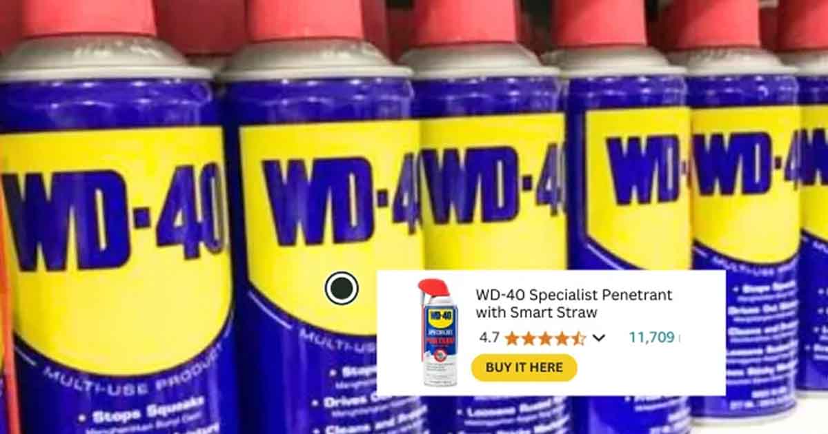 WD-40: 8 Of The Most Surprising Things You Can Do With It
