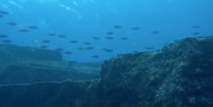 Diver Visits Japan’s Underwater ‘Pyramid,’ The Yonaguni Monument; A ...