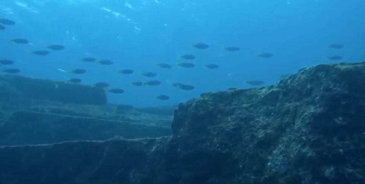 Diver Visits Japan’s Underwater ‘Pyramid,’ The Yonaguni Monument; A ...