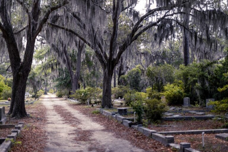 This is Why Two People Are Buried in Graves at The Savannah Airport in ...