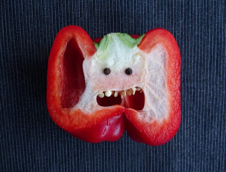 Pareidolia: Why Do We See Faces in Everyday Objects?