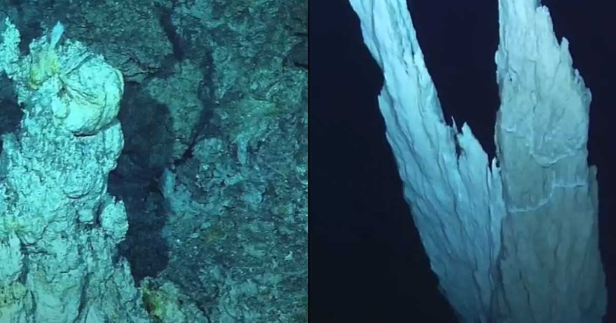 Researchers Uncover ‘Lost City’ in Deep Atlantic Waters That’s Nothing ...