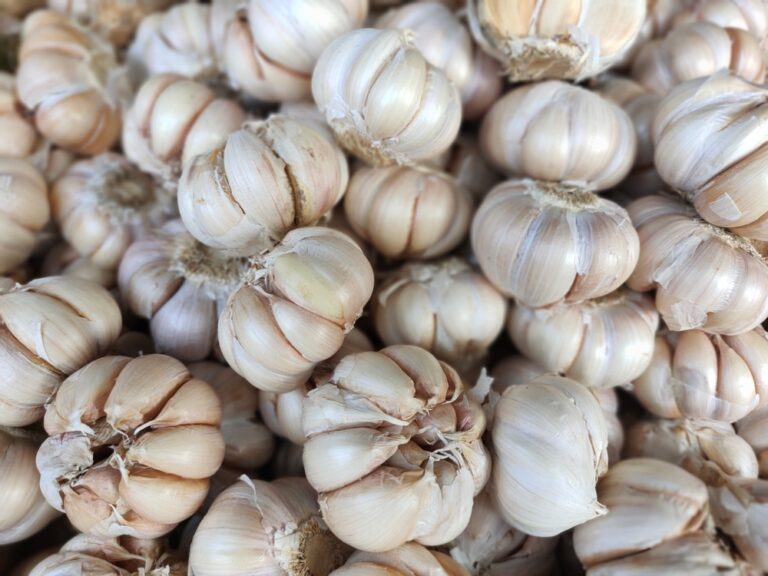 20 of The Most Nutrient-Dense Vegetables, According to Nutritionist