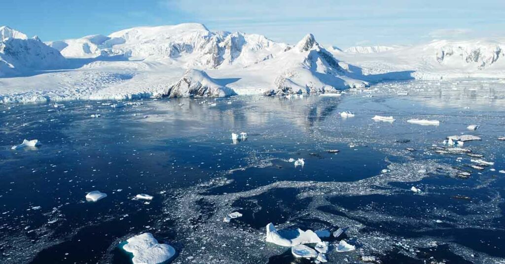 Antarctica Turning Green At an Alarming Rate and Scientists Have ...