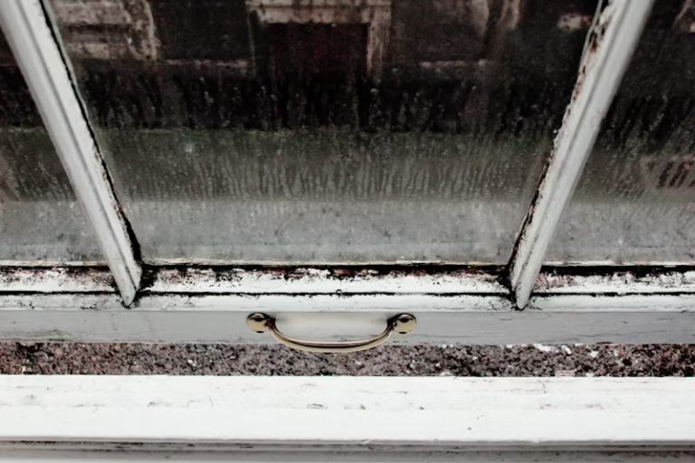 Putting a Bowl of Salt Next To Your Window Can Limit The Impact of a ...