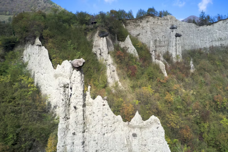 The Manchineel Tree Is Found in America, and Its 12,000x More Lethal ...