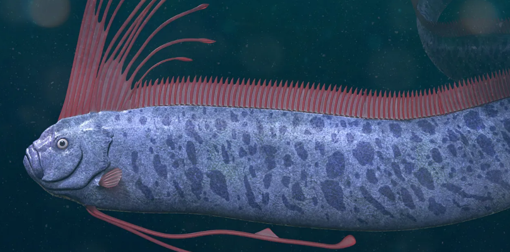 Another So-Called ‘Doomsday’ Fish Has Washed Up On The California Coast ...