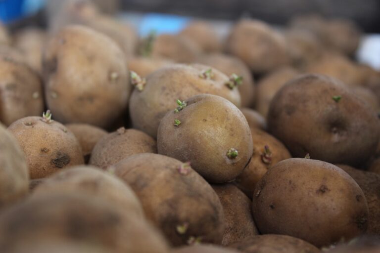 Health Professionals Warn About The Subtle Signs Your Potatoes Could Be ...