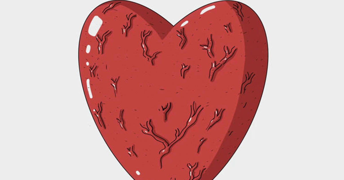 Why Your Resting Heart Rate is an Important Indicator of Health : The ...