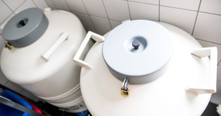 Frozen in Time: The First Cryogenically Preserved Man Still Awaits ...