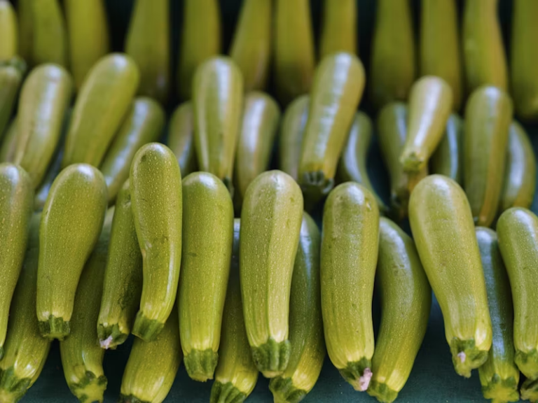 Zucchini Poisoning is Real - Why It Happens and How to Avoid It