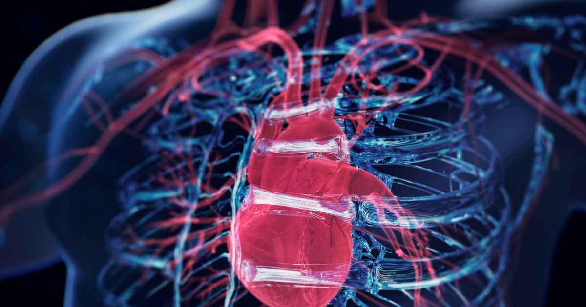 Heart Failure: The Human Heart's Surprising Potential to Heal Itself