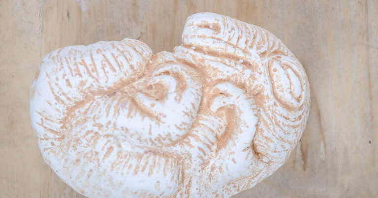 Scientists Unearth Preserved Dinosaur Embryo Inside Fossilized Egg