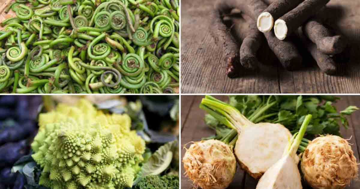 14 Unique Vegetables You’ve Likely Never Heard Of