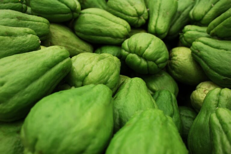 14 Unique Vegetables You’ve Likely Never Heard Of
