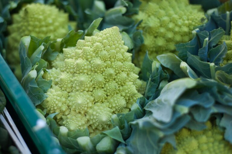 14 Unique Vegetables You’ve Likely Never Heard Of
