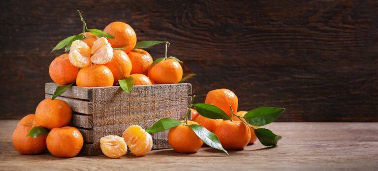 10 Must-Try Orange Varieties for Every Citrus Lover