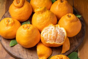 10 Must-Try Orange Varieties for Every Citrus Lover