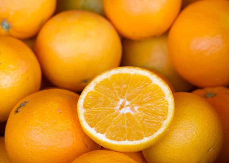 10 Must-Try Orange Varieties for Every Citrus Lover