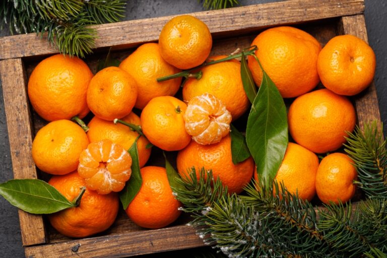 10 Must-Try Orange Varieties for Every Citrus Lover