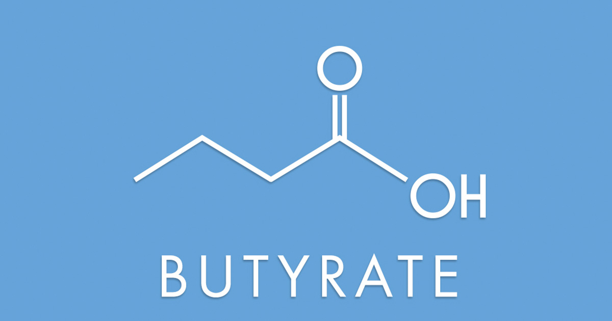 Butyric Acid: What It Is and How It Impacts Your Gut Health