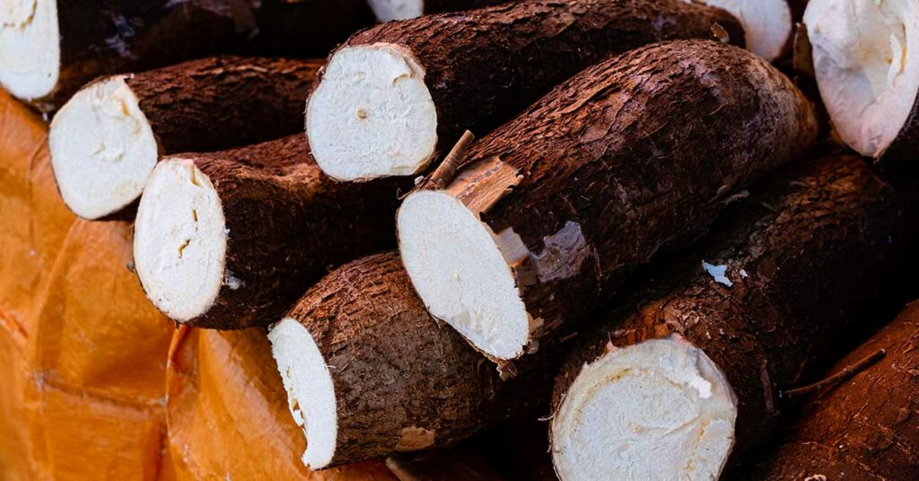 14 of The World's Deadliest Foods