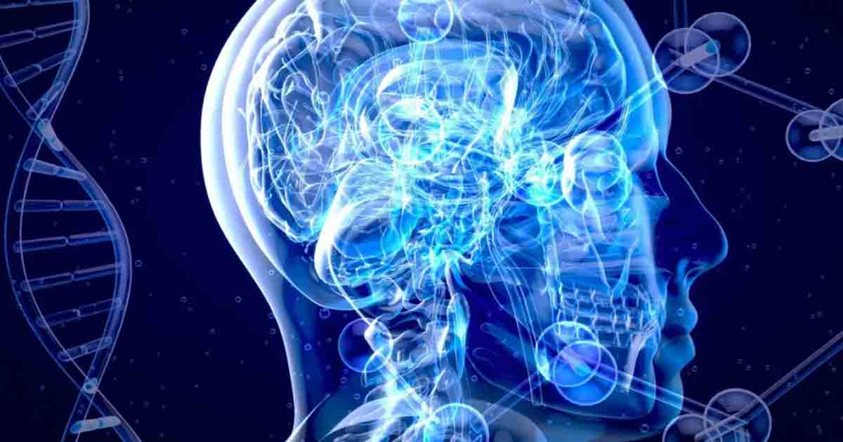 13 Medications and Supplements That May Help Slow Brain Aging