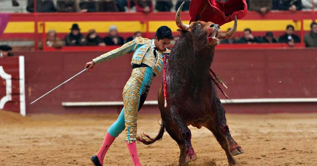Mexico City Bans Bullfighting, Ending a 500-Year Tradition Amidst ...