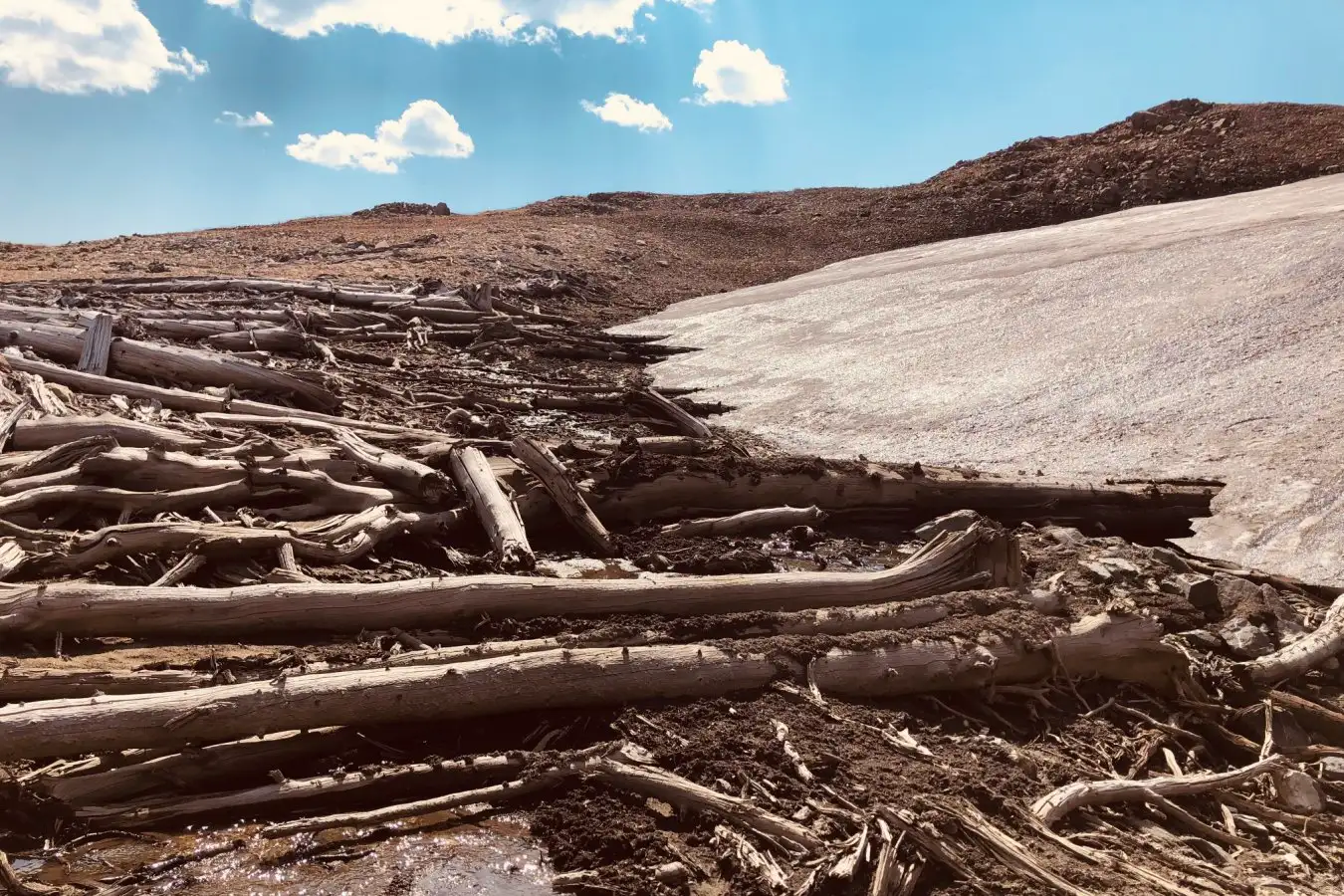 Scientists Unearth Incredible 5,900-Year-Old Discovery in the Rocky ...