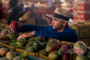 Discover the Hidden Meaning of PLU Codes on Your Produce and Shop Smarter