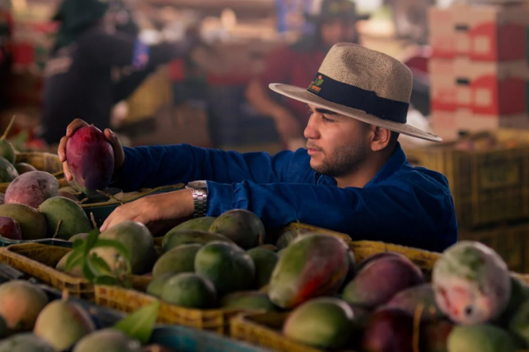 Discover the Hidden Meaning of PLU Codes on Your Produce and Shop Smarter