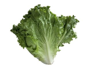 100 of The World’s Most Nutritious Foods : The Hearty Soul